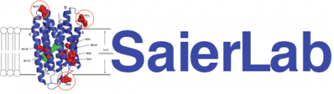 Saier Lab