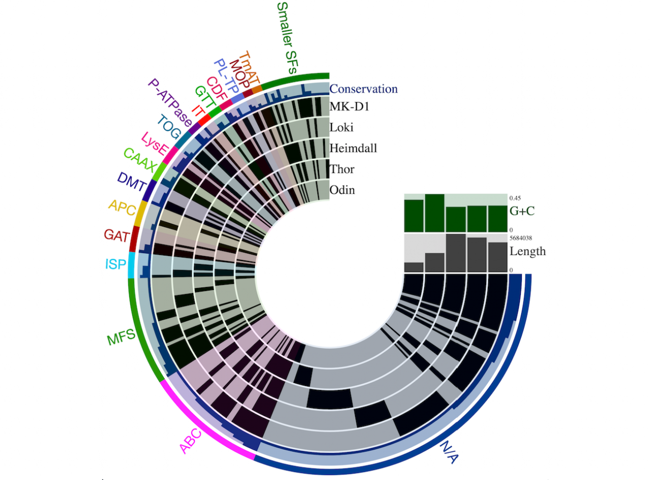 Evolution | Saier Lab